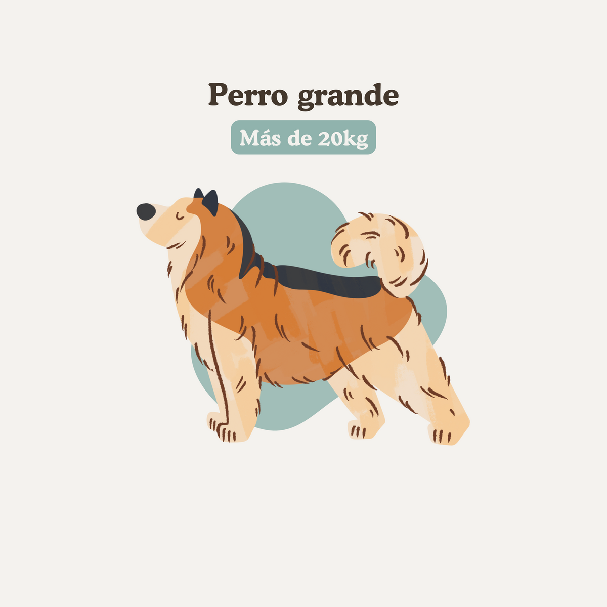 Dieta BARF, Comida Natural para Perros y Gatos | Natuka